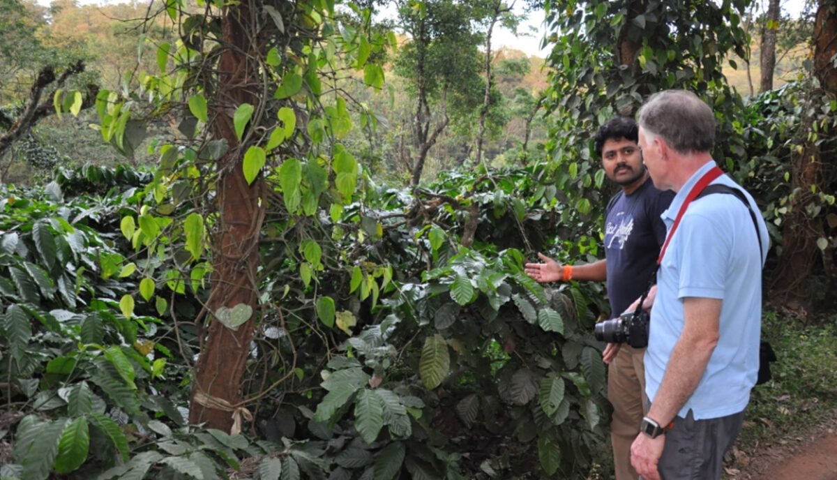 10 Best Places to Visit in Coorg | Best Places in Coorg to Visit