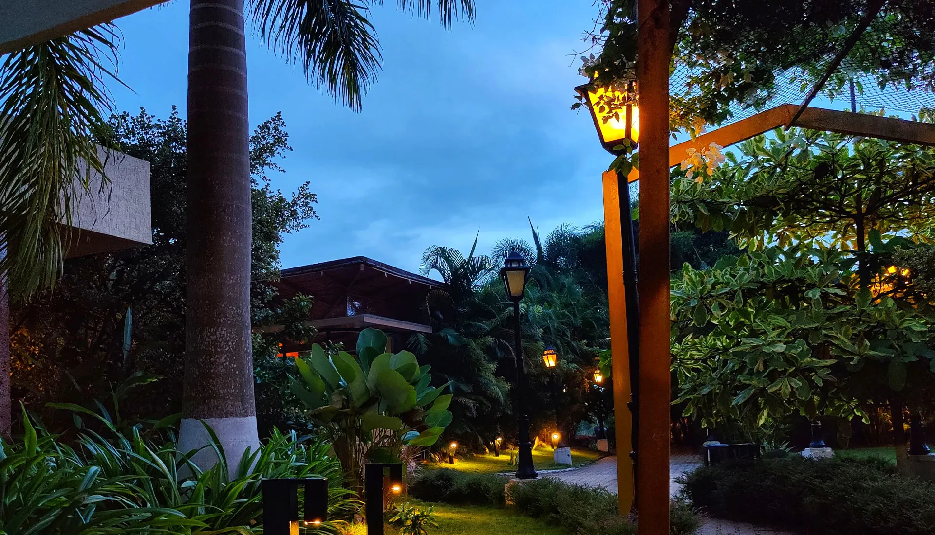 Best Affordable Resort in Coorg | Best Budget-Friendly Resorts In Coorg